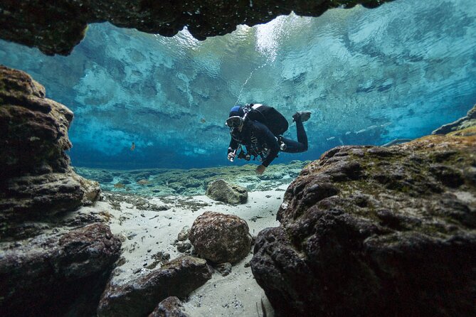 Sea Baptism Scuba Experience in Polignano a Mare - An Authentic Intro to Underwater Exploration