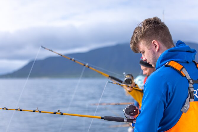 Sea Fishing Experience from Reykjavik - Setting Out into Faxaflói Bay