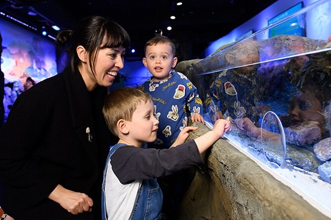 SEA LIFE London Aquarium Admission Ticket - What Makes the SEA LIFE London Aquarium Special