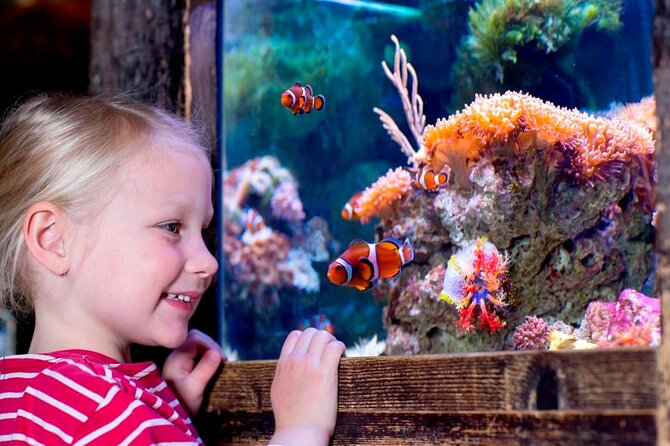 SEA LIFE Oberhausen Admission Ticket - The Highlights and Unique Features