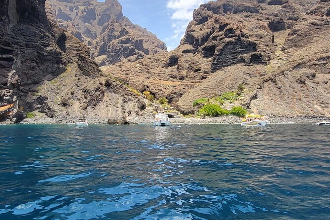 SEA SAFARI Dolphins, Whales, 3h speedboat DISCOVERY-TOUR - An In-Depth Look at the Sea Safari Experience