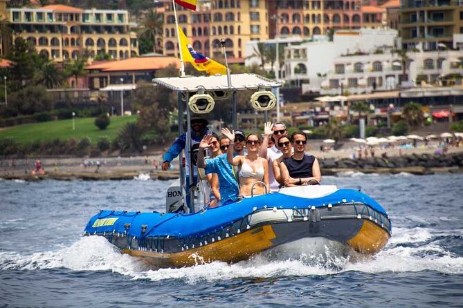 SEA SAFARI, Dolphins, Whales, snorkeling, snack and drink, 2 h speedboat - Who Would Love This Tour?