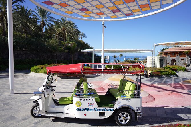 Secret Volcano Tour by Tuk Tuk in Costa Adeje - An Honest Look at the Experience
