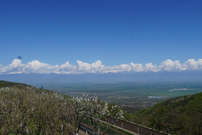 Secrets of Kakheti: Wine & Home-Cooked Lunch - Key Points