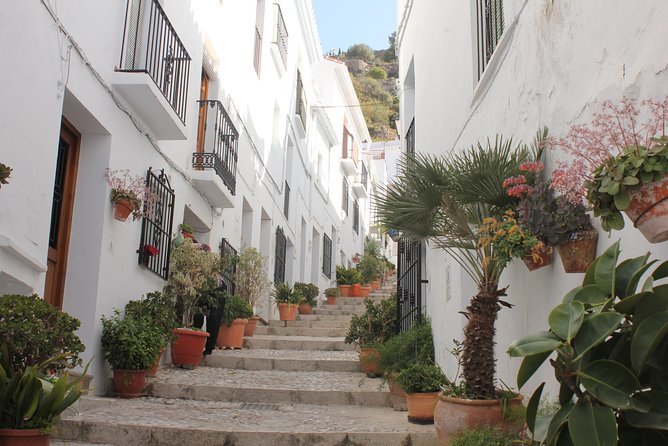 Semi-private Tour to Frigiliana and The Lost Village with lunch included - Key Points