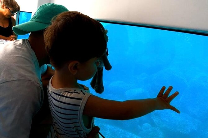 Semi-submarine: visit to the seabed of Porto Bay - Introduction to the Experience