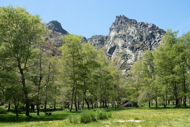 SERRA DA ESTRELA - Excursão com degustação de queijo da serra - An In-Depth Look at the Tour Experience