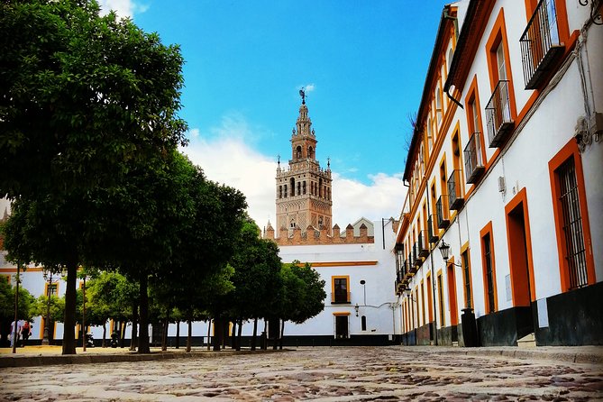 Seville Full Day Tour - Starting Point and Meeting Details