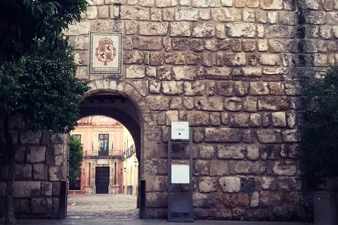 "Seville: Love At First Sight" Private Tour - An Authentic Introduction to Seville’s Most Famous Sites