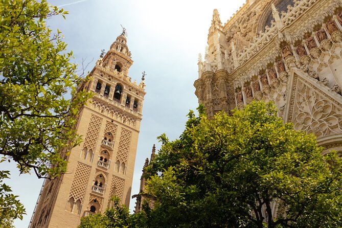 Seville Must-Do Family Friendly Private Tour - A Practical Overview of the Tour Experience