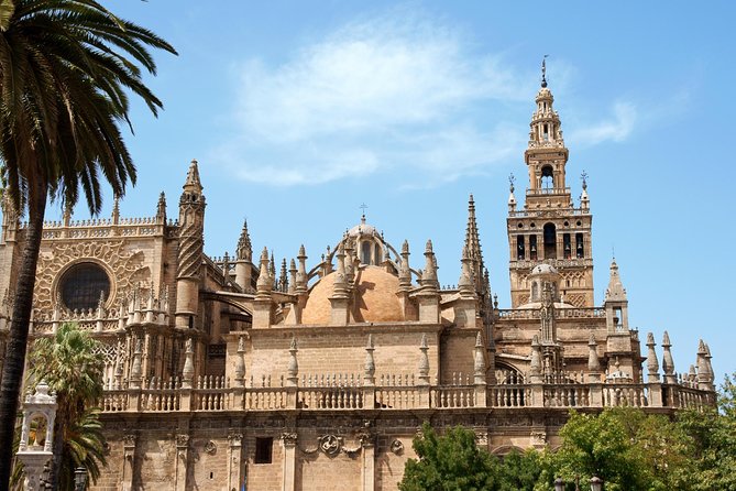Seville Tour with Alcazar, Cathedral and Giralda from Granada - The Day Trip Experience: What to Expect