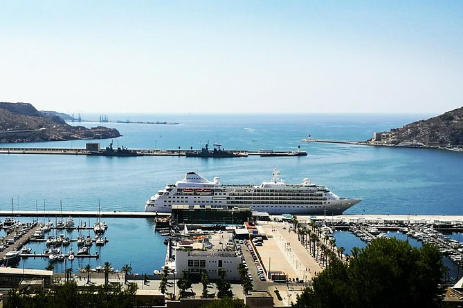 Shore Excursion: Cartagena Half-Day Private Tour - Why Choose the Cartagena Half-Day Private Tour?