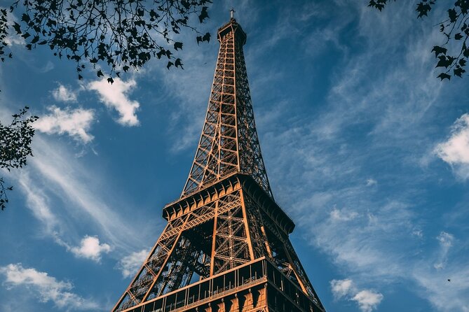 Short Layover Tour with Driver in Paris - The Vehicle and Comfort