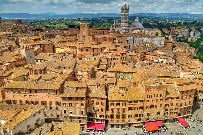 Siena Private walking tour - The Experience and Its Value