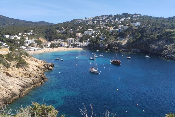 Sightseeing Day Trip along the South West Coast of Ibiza ES Vedra - Transportation and Service