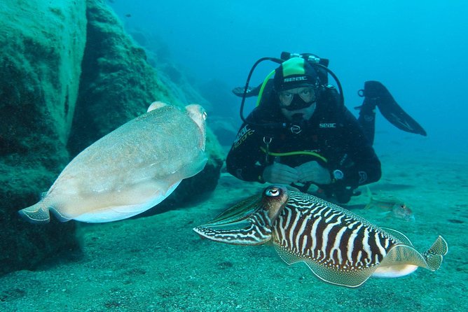 Single Dive for qualified divers from shore, region Puerto del Carmen. - What to Expect from Your Shore Dive Adventure