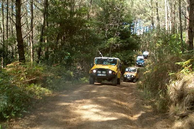 Sintra Jeep Tour - Key Points