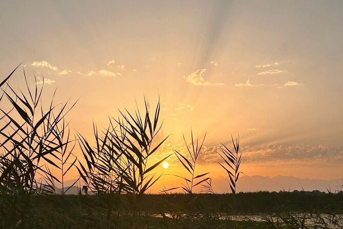 Skadar Lake Private Boat Tour with Wine Tasting - The Itinerary in Detail: What to Expect