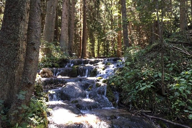 Skakavac Waterfall Hike - From Sarajevo - Authentic Reviews and Traveler Insights