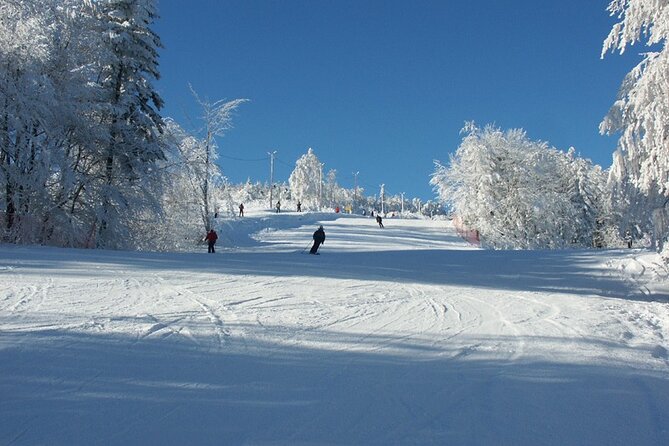 Skiing For Beginners - Private Day Trip from Krakow - Equipment and Clothing Considerations