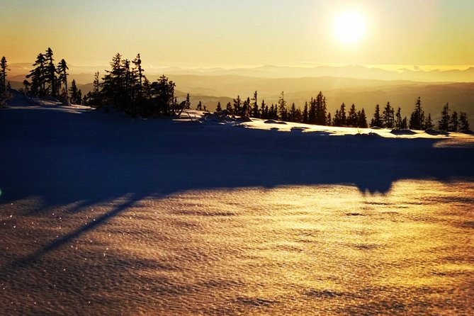 Skiing in winter wonderland - Discover Norway’s Winter Landscape Through Cross-Country Skiing