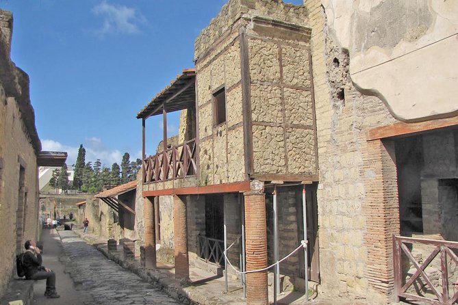 Skip the Line Ancient Herculaneum Walking Tour with Top Rated Guide - What Travelers Say