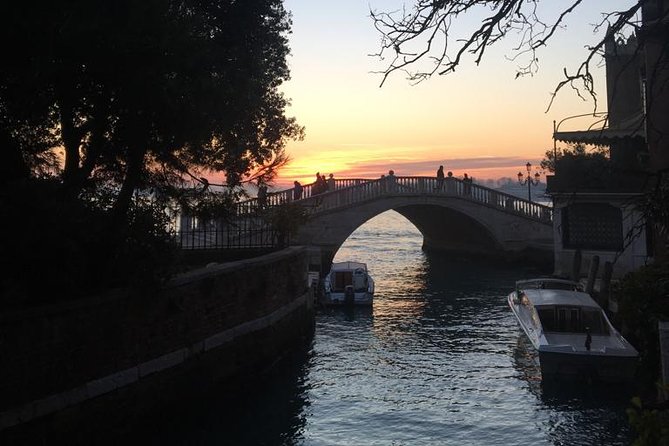 Skip the Line: Best of Venice Private Tour Including San Marco Doges' Palace and Gondola Ride - Privileged Access to St. Mark’s Basilica