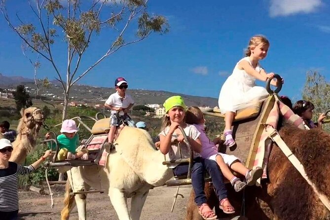 Skip the Line: Camel Park Tenerife Ticket - The Details of the Experience