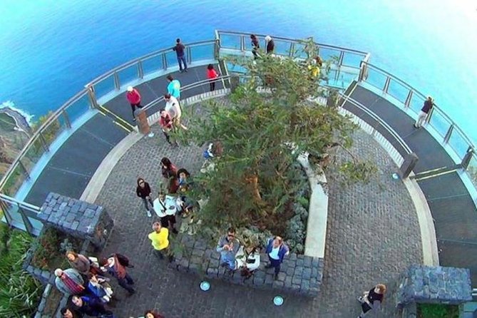 Skywalk, Madeira Wines Tasting and Vineyards 4x4 Experience - An In-Depth Look at the Experience