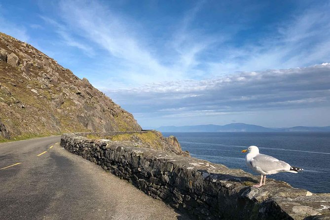 Slea Head Photo & Sightseeing Tour - An Exceptional Introduction to the Dingle Peninsula