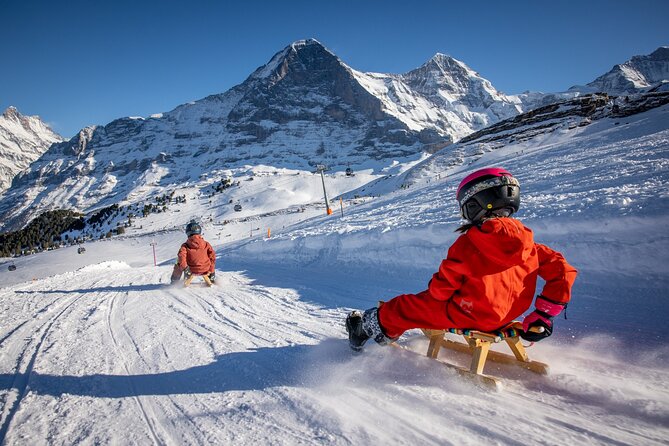 Sledding Cheese Fondue, Chocolate - An Overview of the Experience