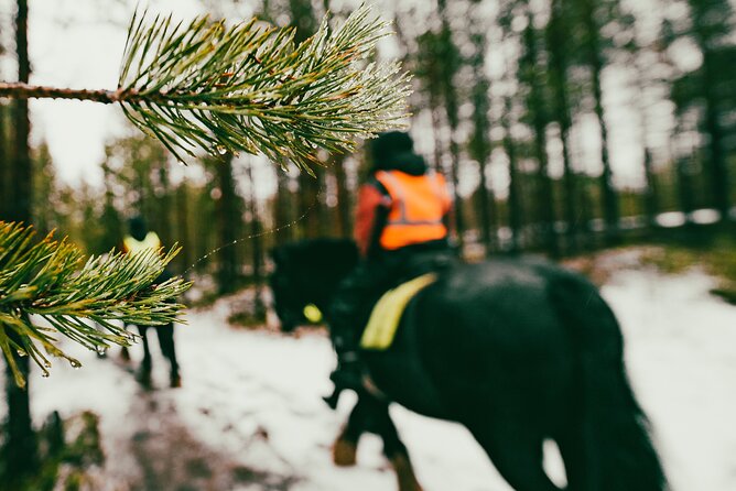 Small-Group Arctic Circle Horse Riding from Rovaniemi - Location and Starting Point