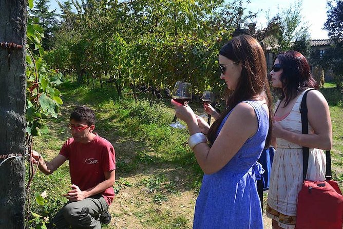 Small-Group Brunello Wine Tour of Montalcino from Florence - An Authentic Taste of Montalcino and Brunello