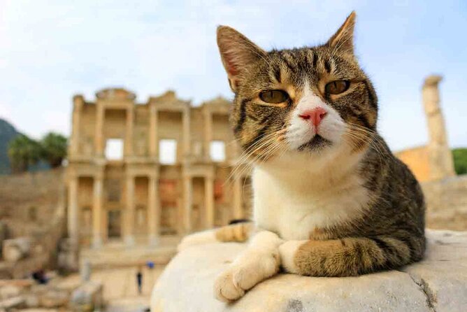 Small Group Ephesus Tour From Izmir - An Introduction to Ephesus: Why It Matters
