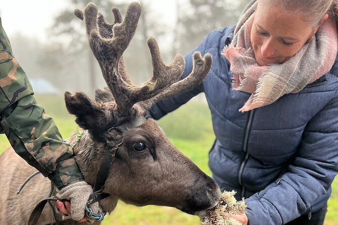 Small Group Fishing, Lunch& Reindeer Farm Visit in the Wilderness - What Makes This Tour Special?