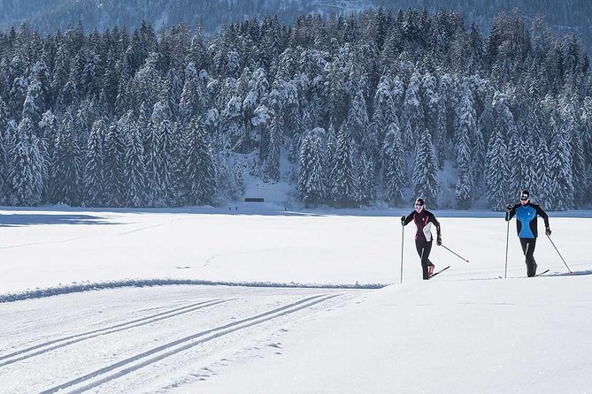 Small-Group Lapland Cross Country Ski - An In-Depth Look at the Experience