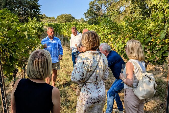 Small-group Vienna Wine Tour - An In-Depth Look at the Tour Itinerary