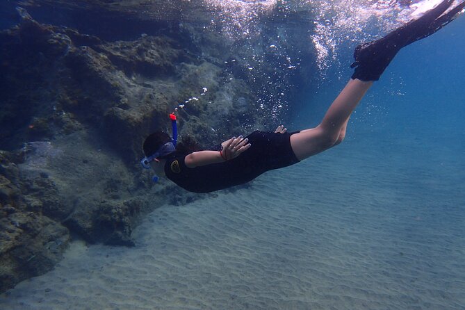 Snorkel Experience in Lanzarote - Meeting Point and Logistics