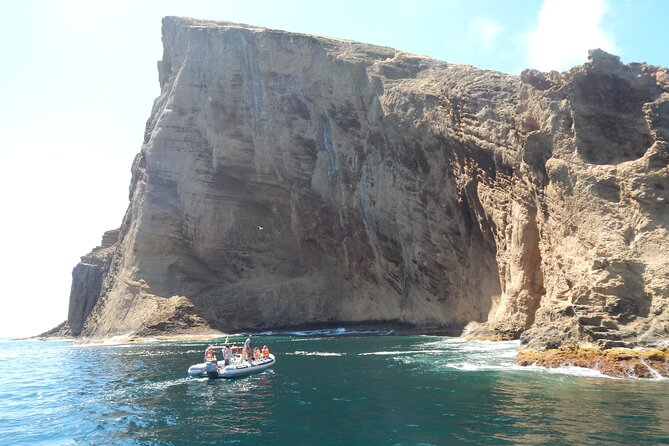 Snorkeling Experience in Terceira Island - Why Travelers Appreciate This Tour