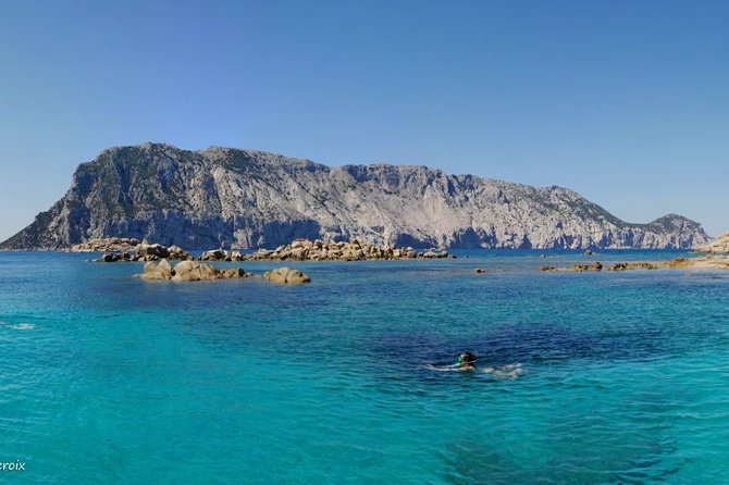 Snorkeling marine protected area Tavolara - What to Expect on the Tour
