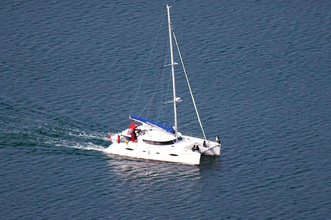 Snorkeling with Orcas In Norway, 4 days All-Inclusive expedition - Who Should Consider This Tour?