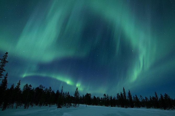 Snowmobile Aurora Expedition with dinner - The Experience: What to Expect