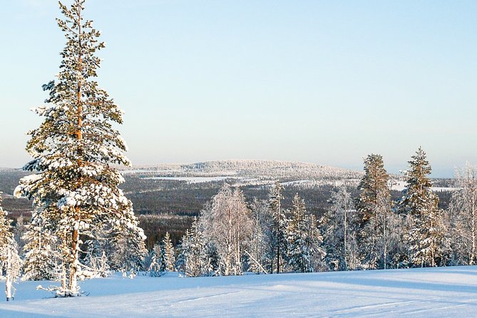 Snowmobile Safari in the Forest - Exploring the Itinerary in Detail