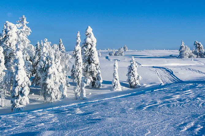 Snowmobile Safari on the Tundra - The Itinerary: Step-by-Step