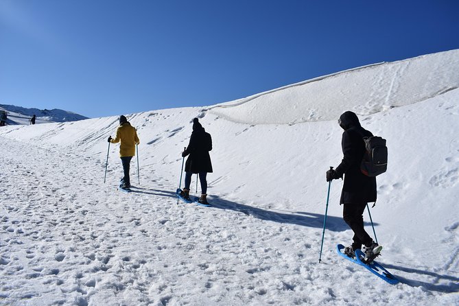 Snowshoe hiking in Sierra Nevada (Granada) - The True Value of This Snowshoe Tour