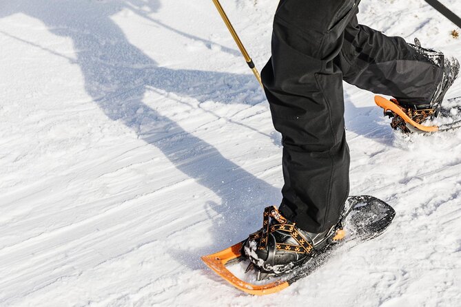Snowshoe tour in Winter Wonderland - Oslo - An In-Depth Look at the Snowshoe Tour in Oslo