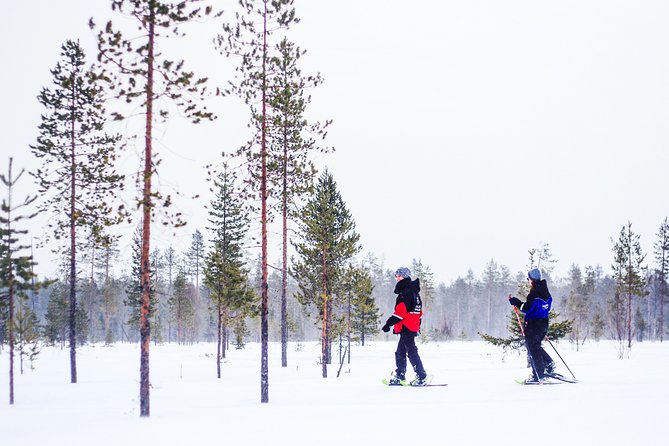 Snowshoe Trip for Searching Arctic Animals - Key Points