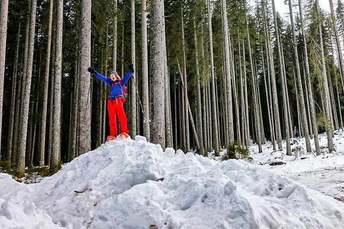 Snowshoeing in Triglav national park - An Authentic Winter Experience Near Bled