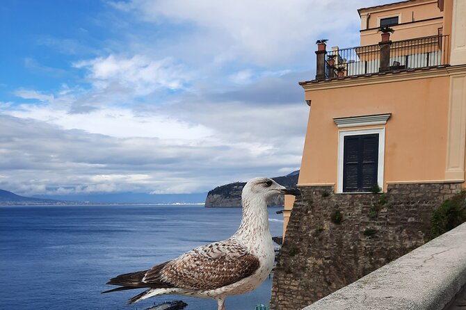 Sorrento grand tour off the beaten track with breathtaking landscapes - Exploring Sorrento’s Enchanting Landmarks