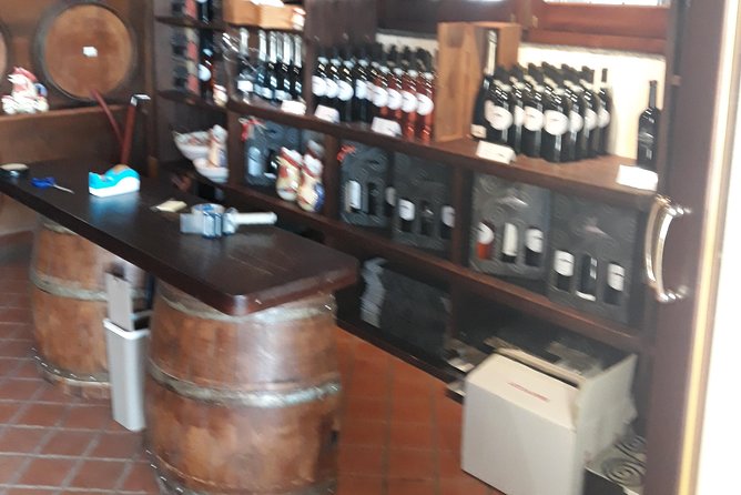 Sorrento Pompeii and Winery Tour - A Practical Overview of the Tour